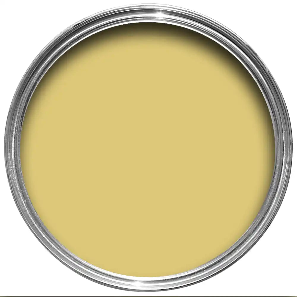 Gervase Yellow - No. 72 - Exterior Masonry - Farrow & Ball – LDM Direct